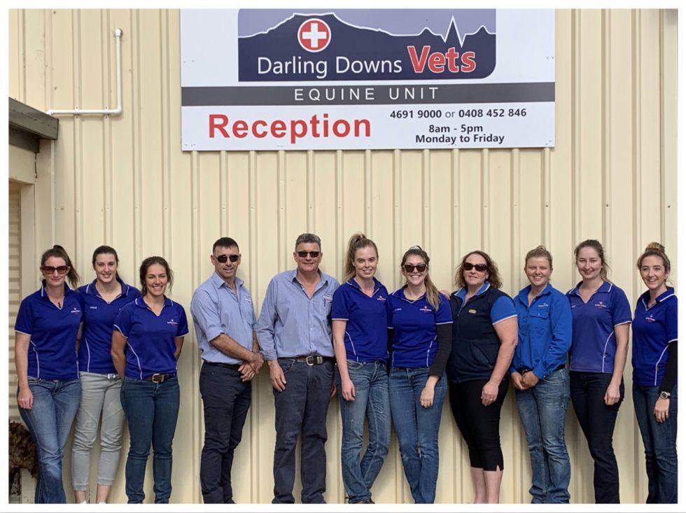 Contact Us - Darling Downs Vets - Our Team Are Here to Help
