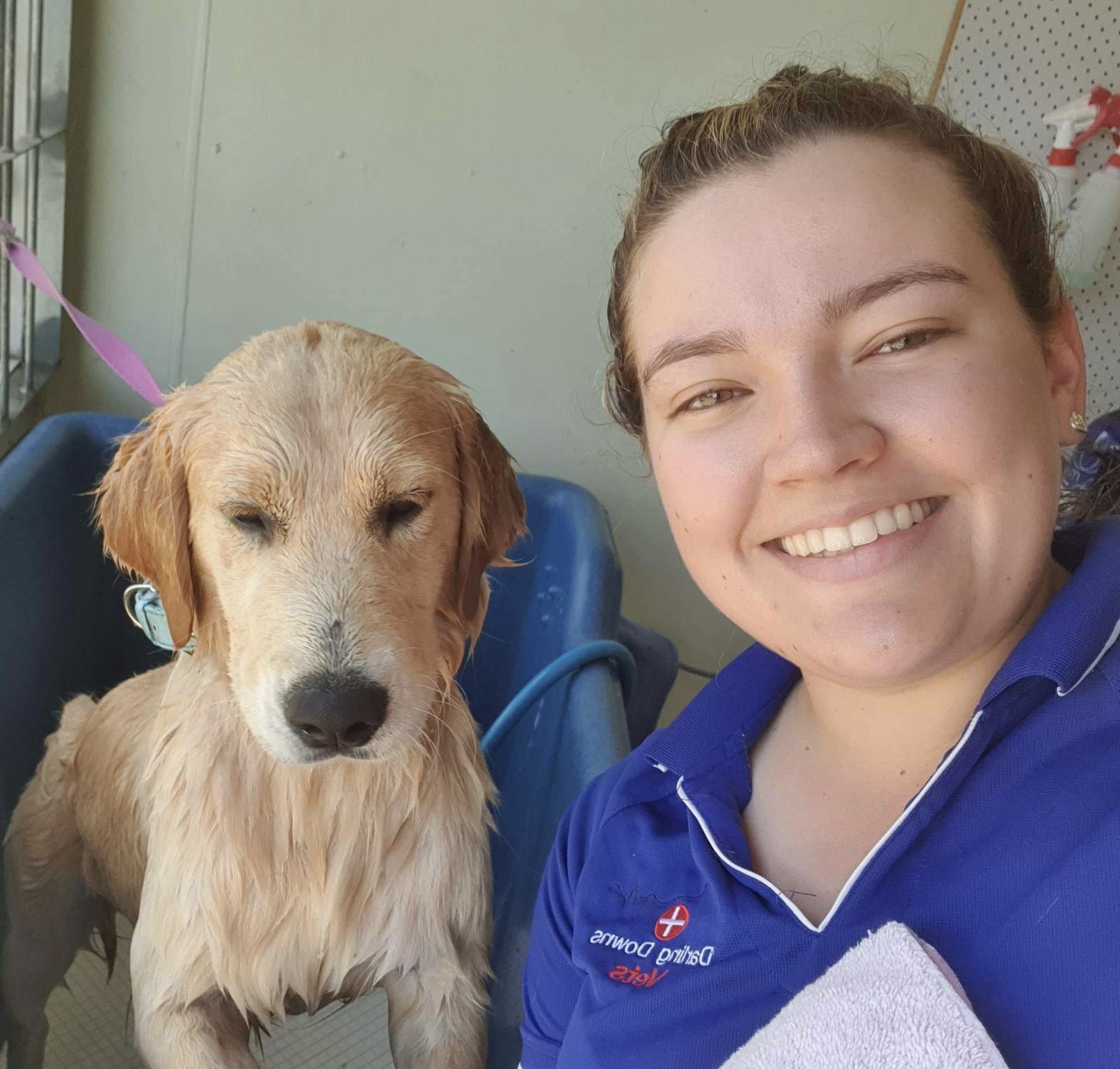 Our Team - Darling Downs Vets - Friendly Pet, Equine, and Farm Vets